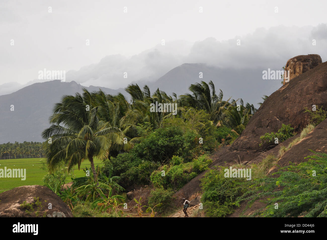 Tenkasi hi-res stock photography and images - Alamy