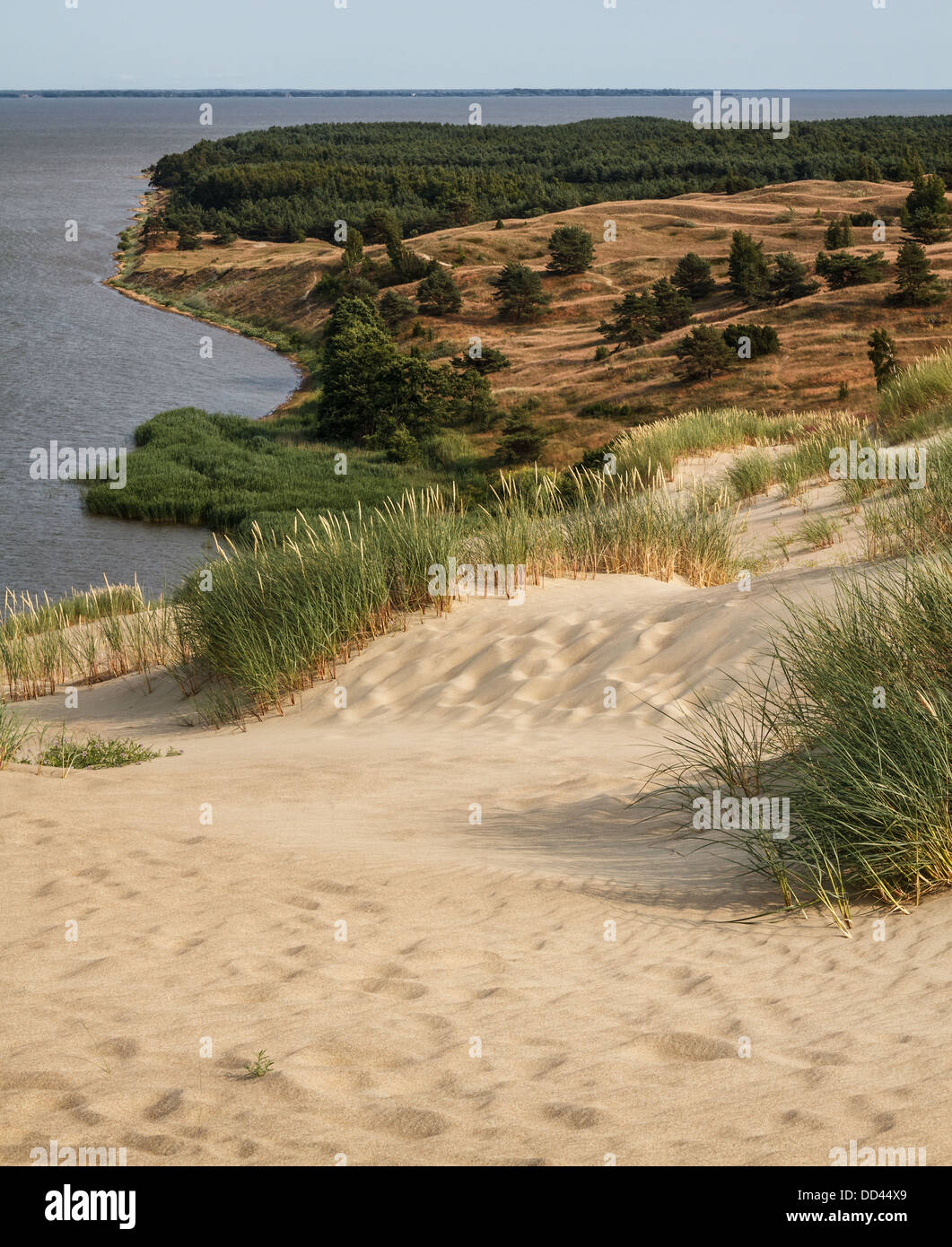 Curonian spit dune hi-res stock photography and images - Alamy