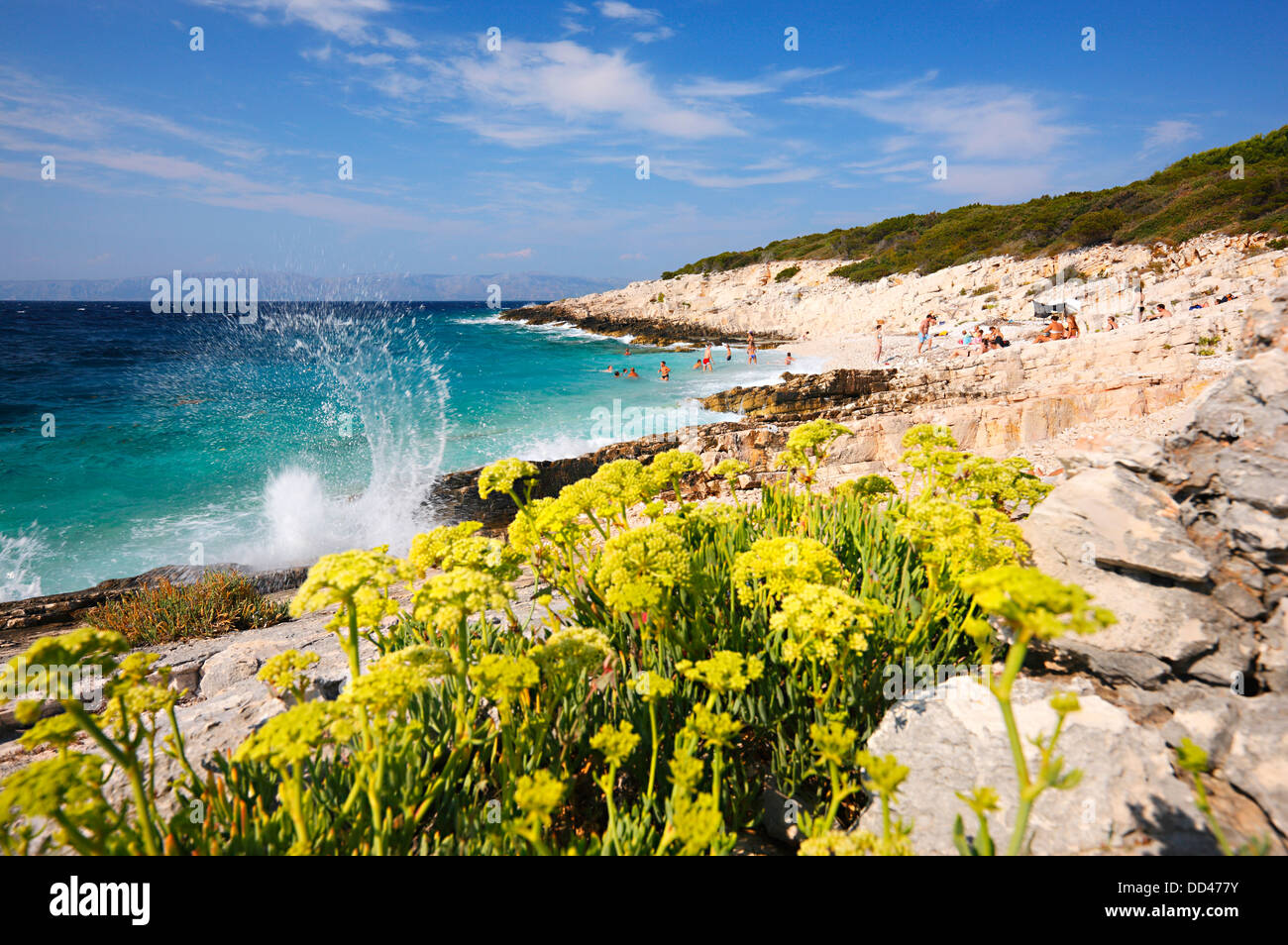 Island Proizd, Korcula Stock Photo - Alamy