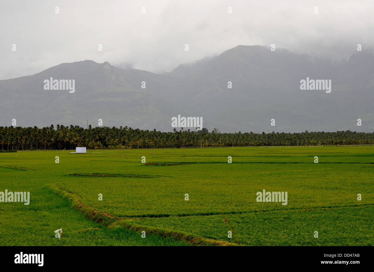 Tenkasi High Resolution Stock Photography and Images - Alamy