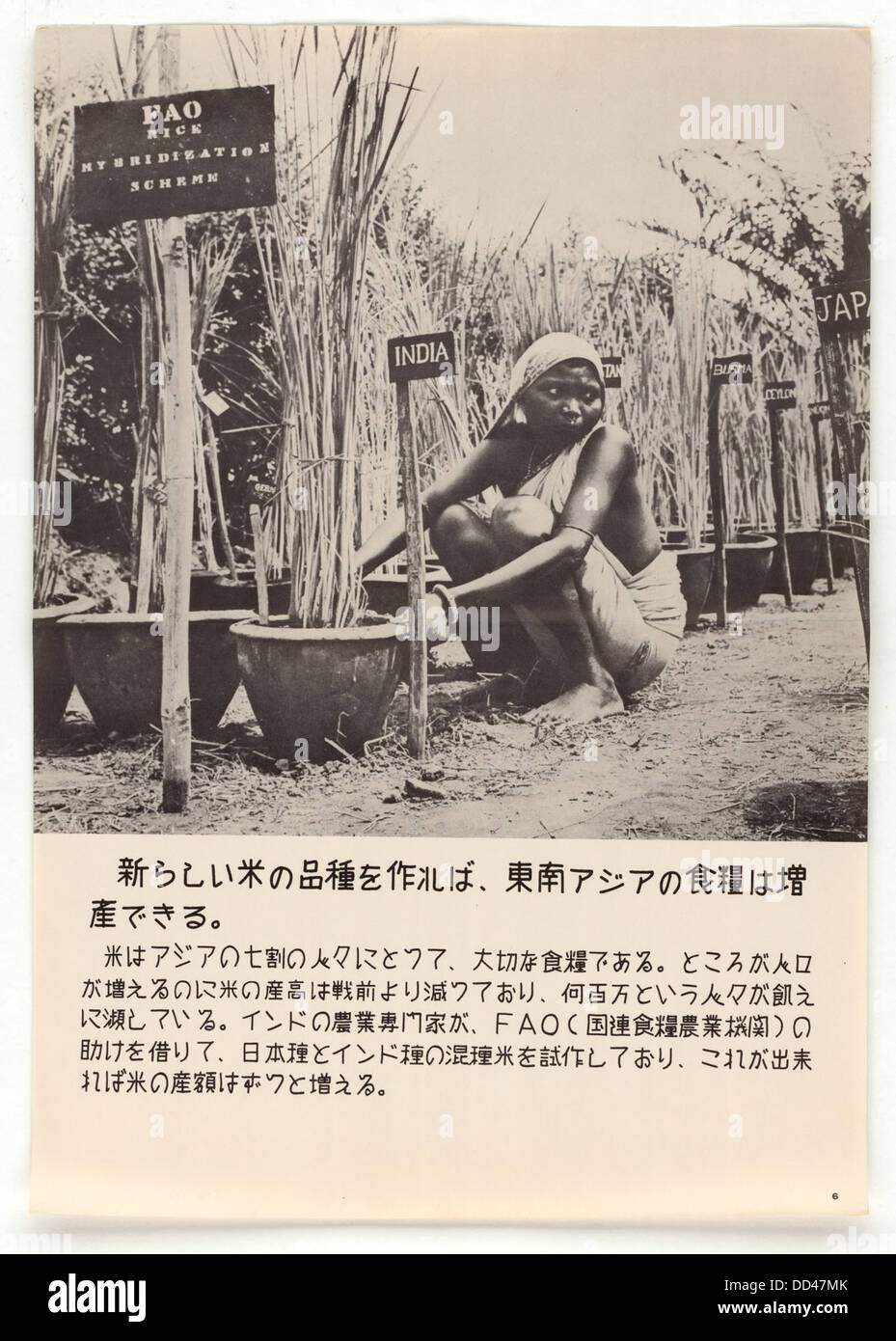 A poster for United Nations Day, promoting awareness and global unity ...