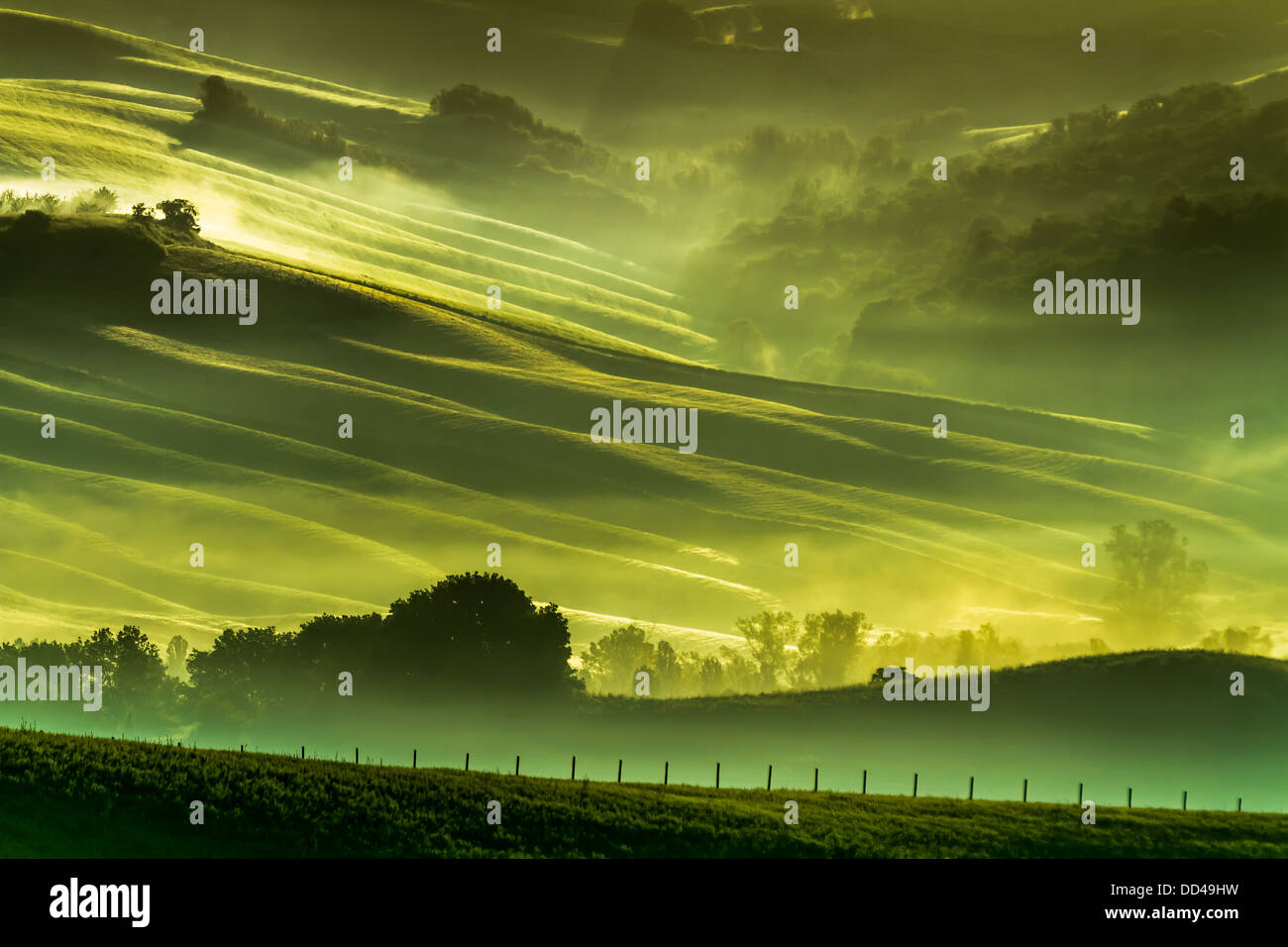 Morning fog in countryside Tuscany Stock Photo - Alamy