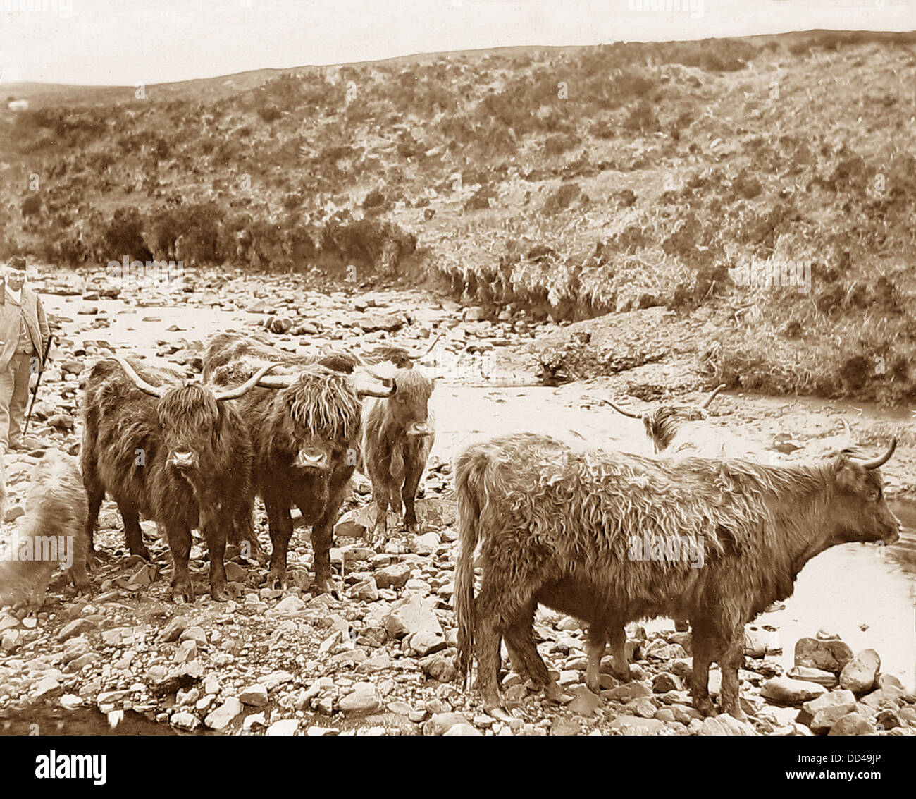 Highland croft hi-res stock photography and images - Alamy