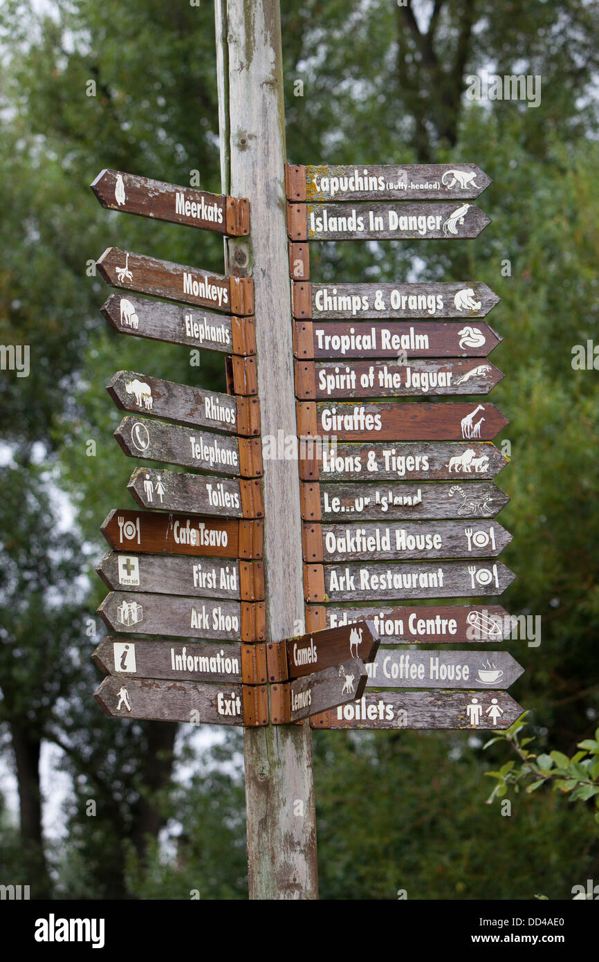 Chester Zoo visitor direction signs on wooden pole Stock Photo - Alamy