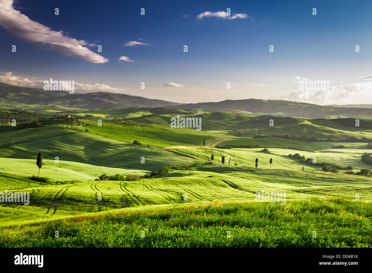 Beautiful view of the sunset over the valley in Tuscany Stock Photo - Alamy