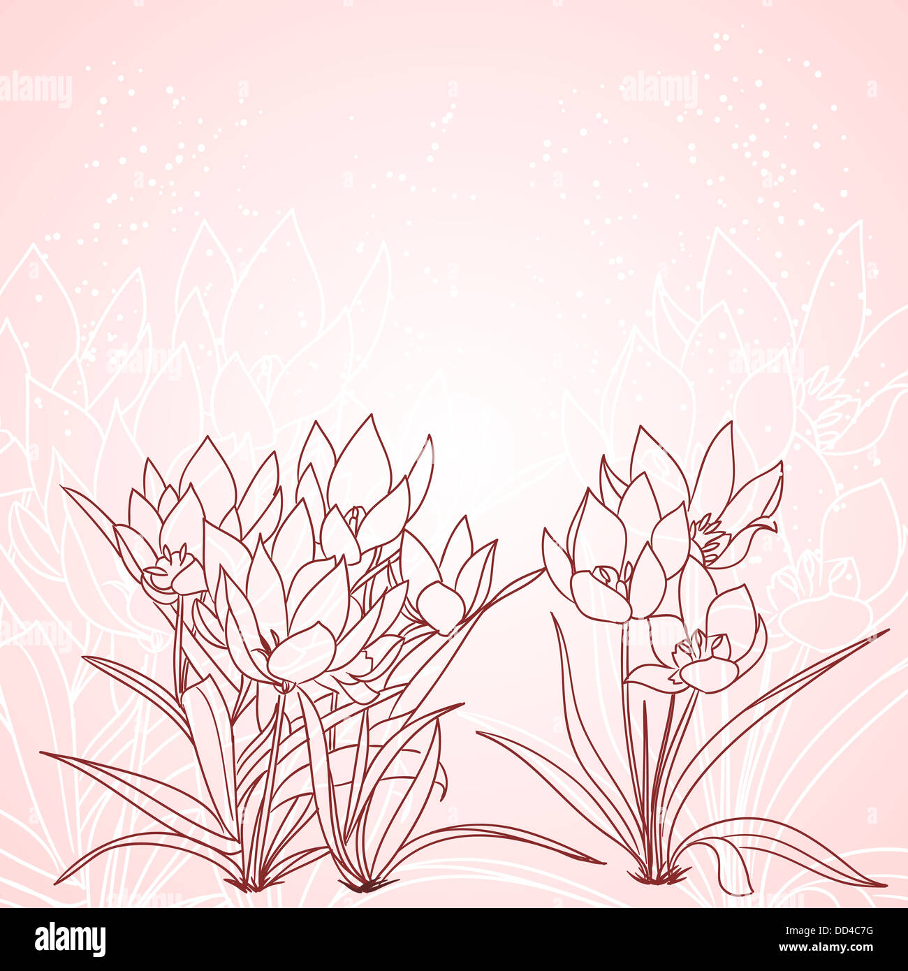 Decorative outline hi-res stock photography and images - Alamy