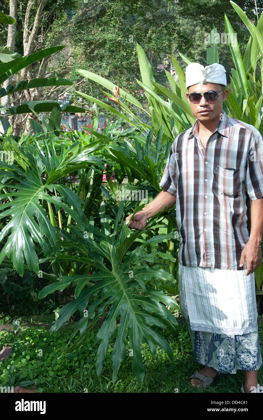 Balinese man in front of tropical plants Stock Photo - Alamy