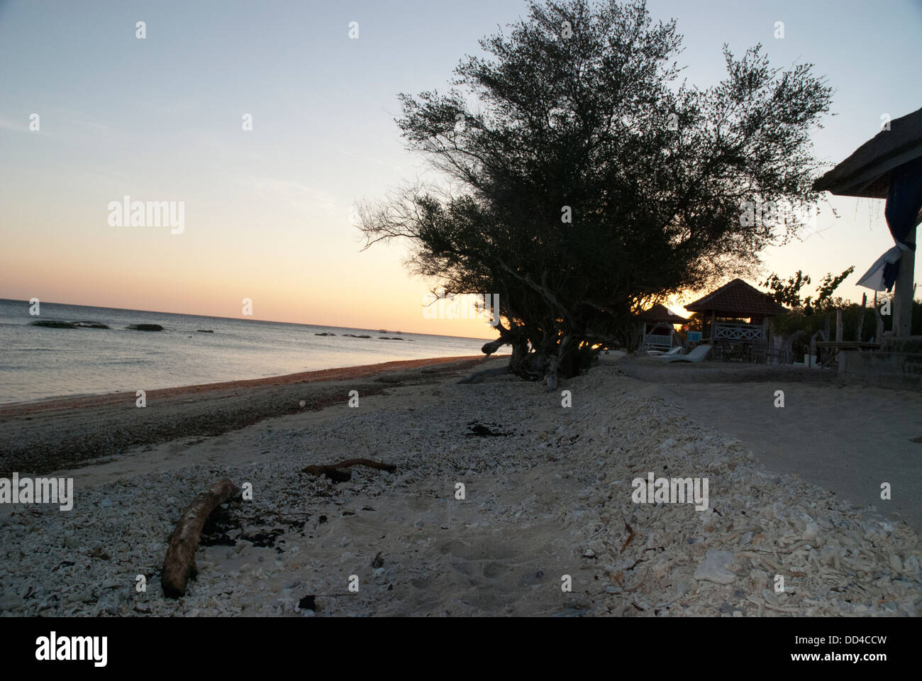 Trawanga hi-res stock photography and images - Alamy