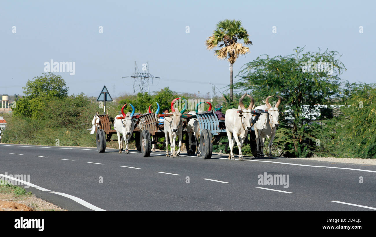 India Carts Stock Photos & India Carts Stock Images - Alamy