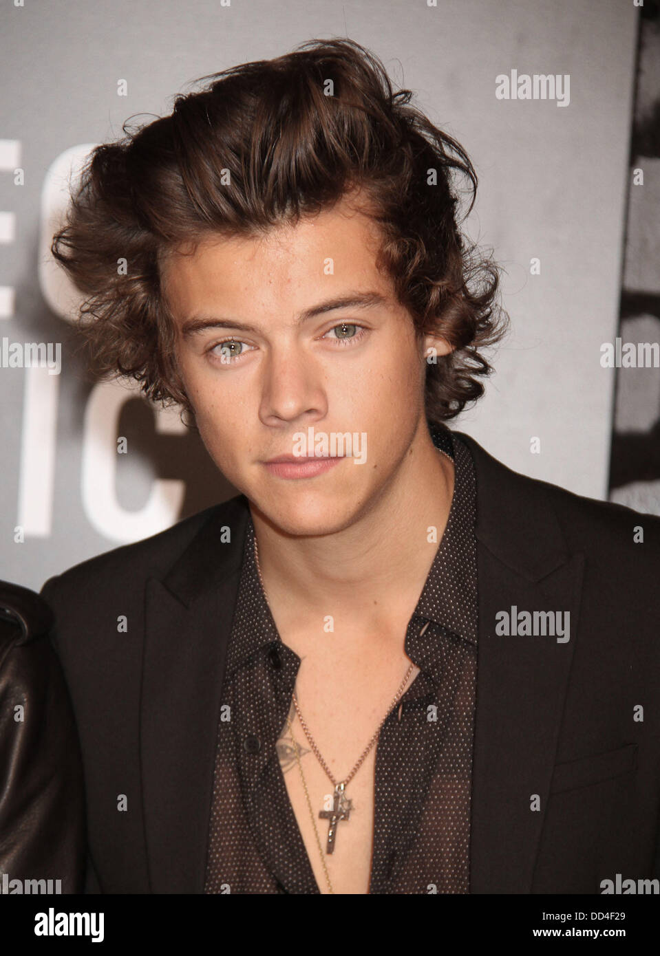 New York, New York, USA. 25th Aug, 2013. Singer HARRY STYLES from ONE ...