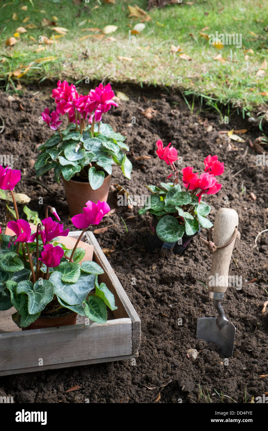 Under planting tree hi-res stock photography and images - Alamy