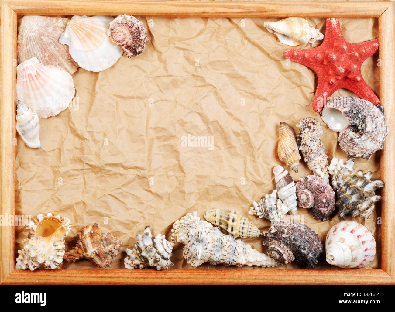 Sea shell frame Stock Photo - Alamy