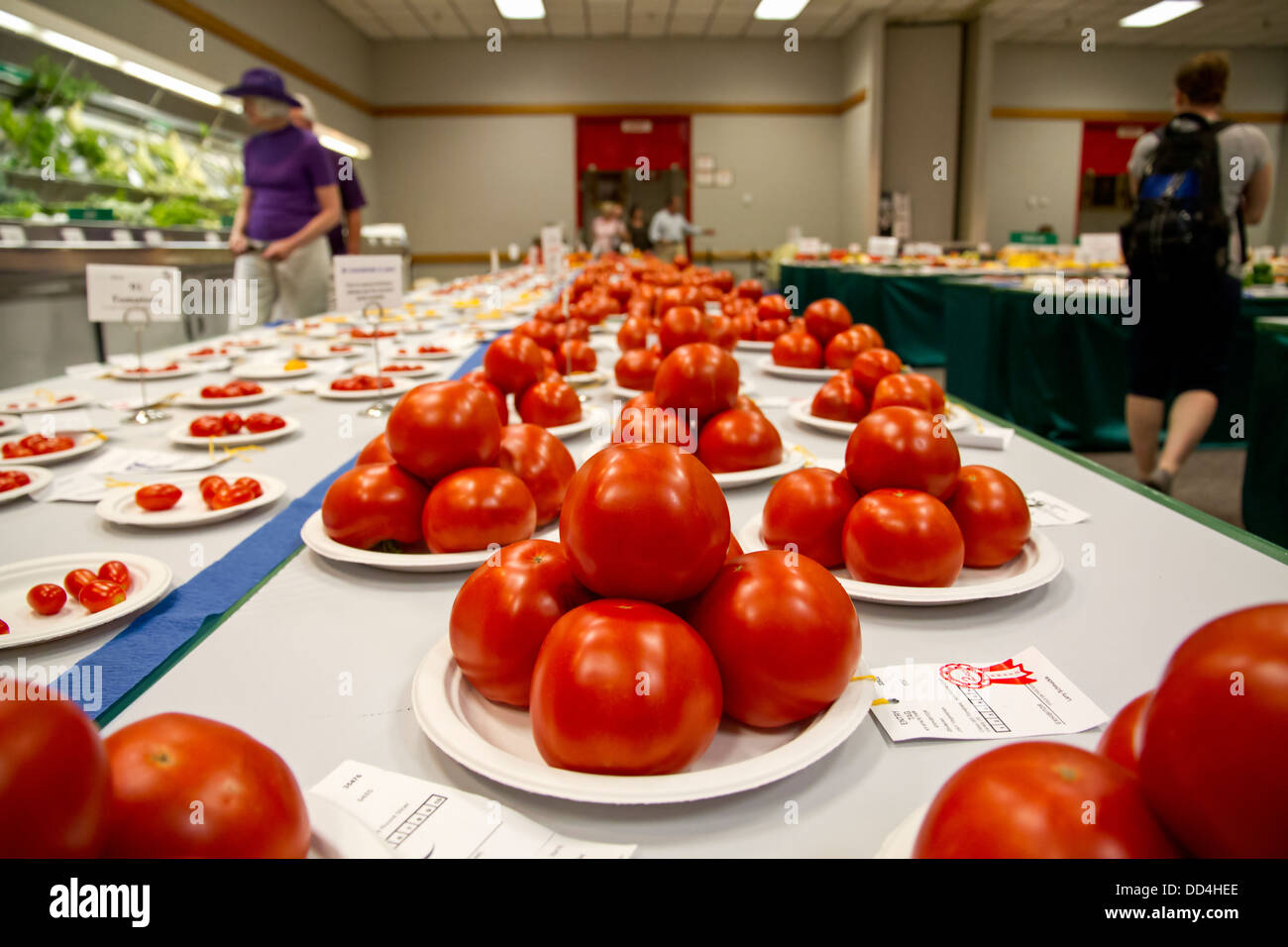 vegetable exhibition at the 2011 Kentucky state fair. Kentucky, USA ...