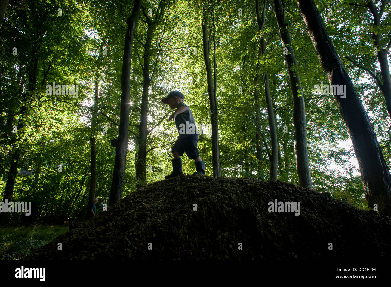 A four year-old boy plays below beech trees on a mound in Somerset ...
