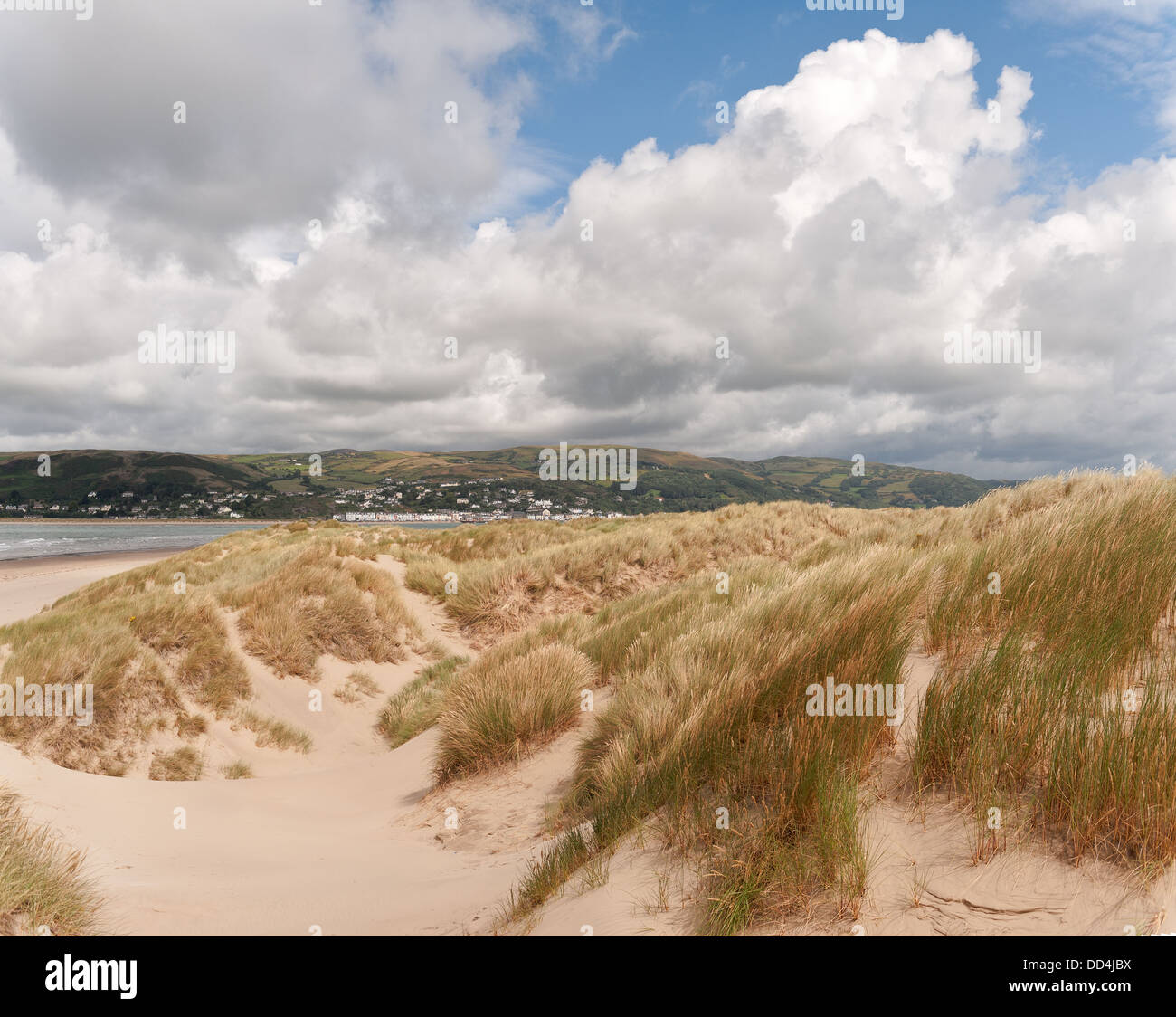 Amongst marram grass hi-res stock photography and images - Alamy