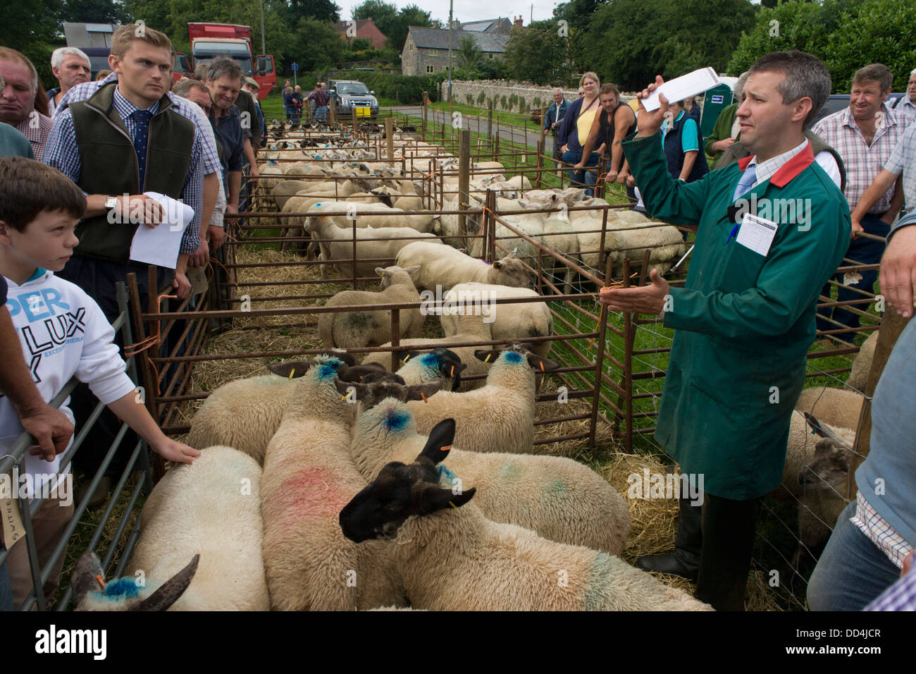 Priddy sheep fair hi-res stock photography and images - Alamy