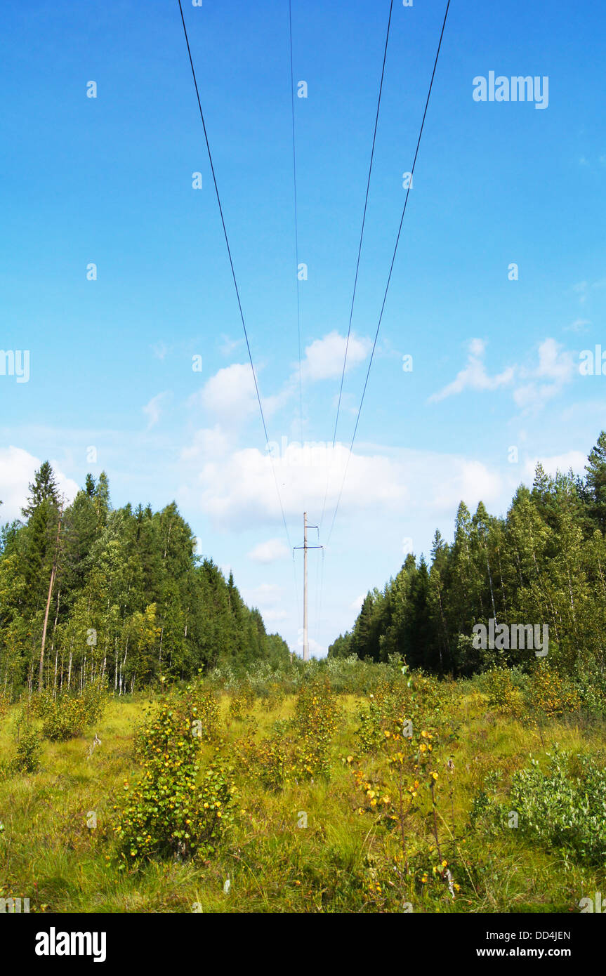 power lines in the forest Stock Photo - Alamy