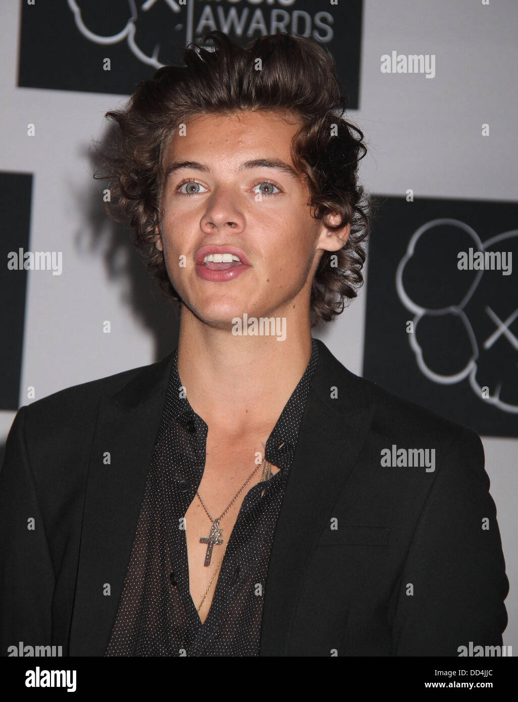 New York, New York, USA. 25th Aug, 2013. Singer HARRY STYLES from ONE ...