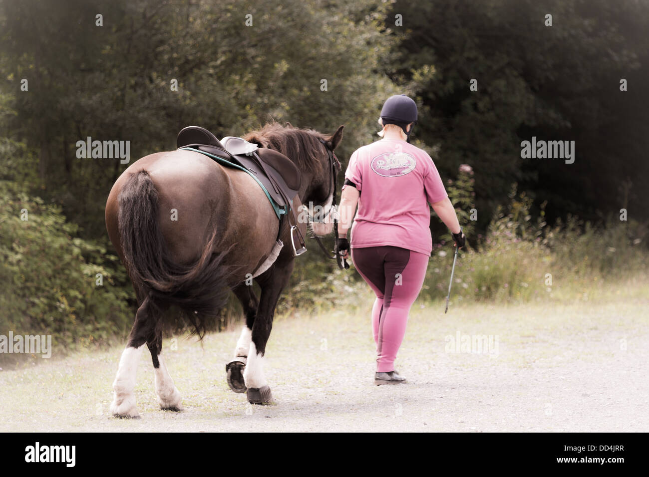 Lady with her horse hi-res stock photography and images - Alamy