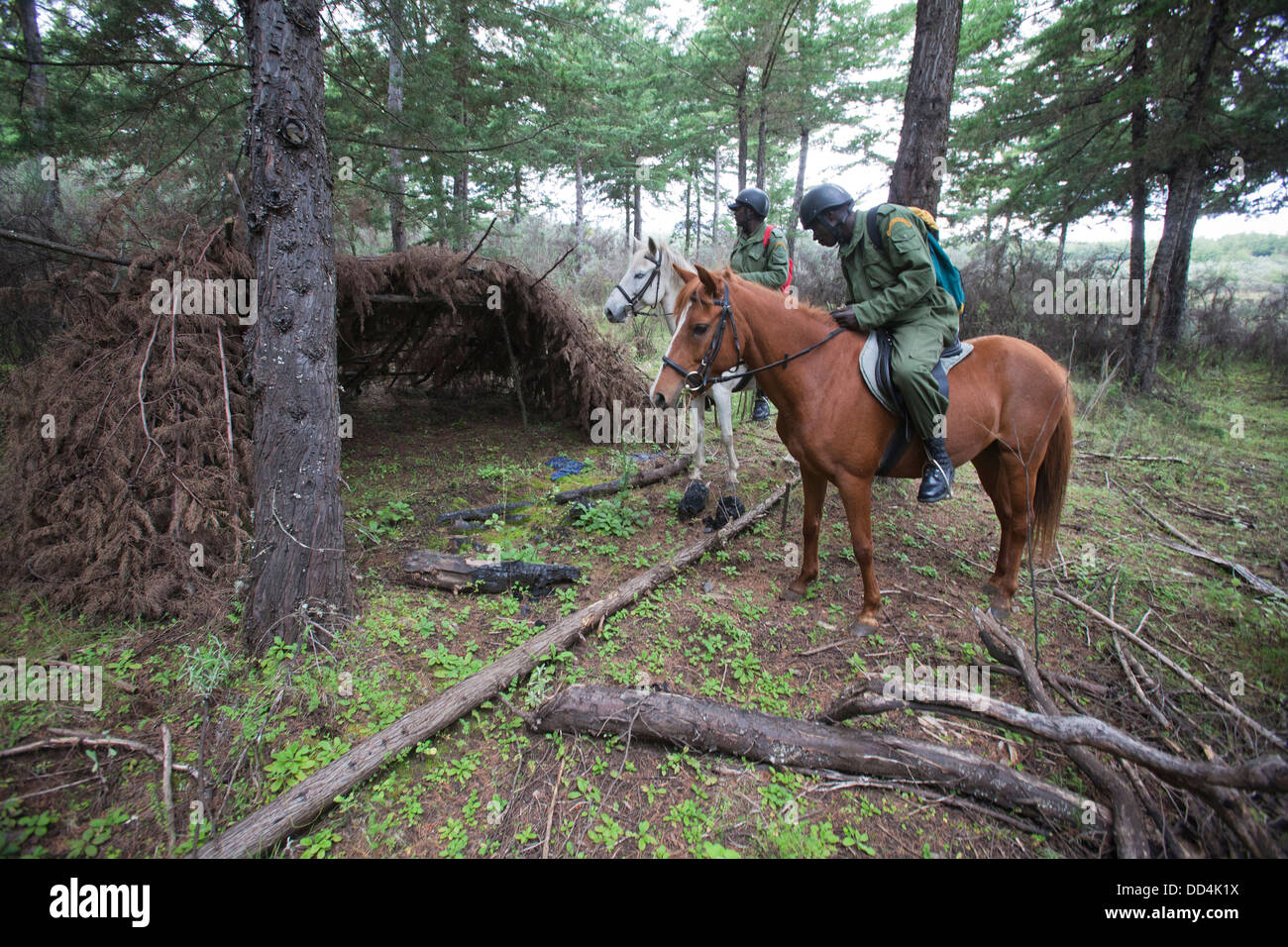 Anti poaching patrol unit on horseback hi-res stock photography and ...