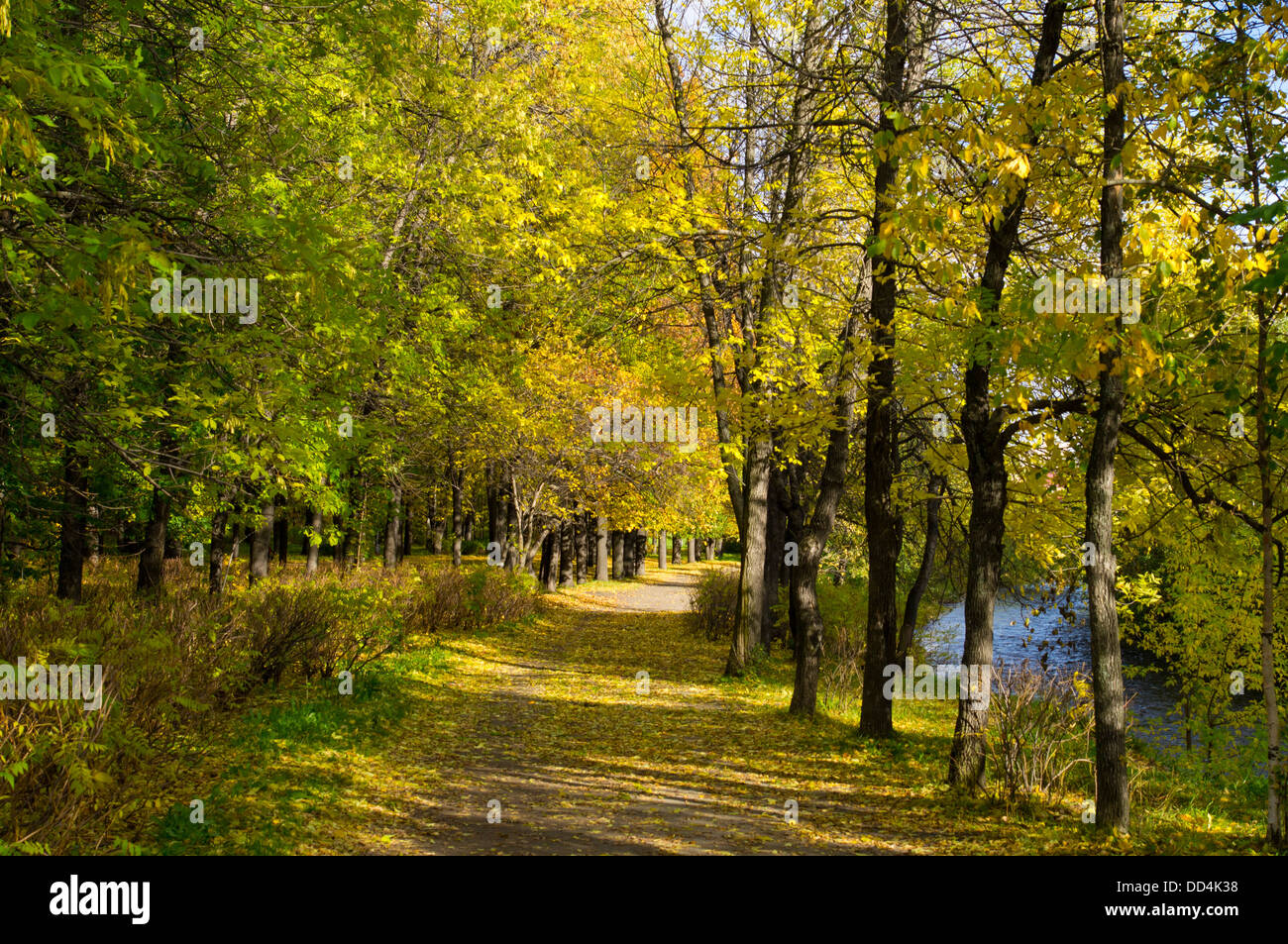 Park in the fall Stock Photo - Alamy