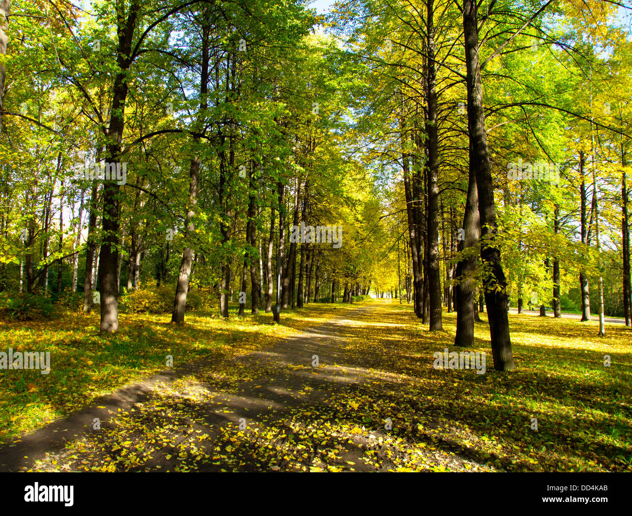 Park in the fall Stock Photo - Alamy