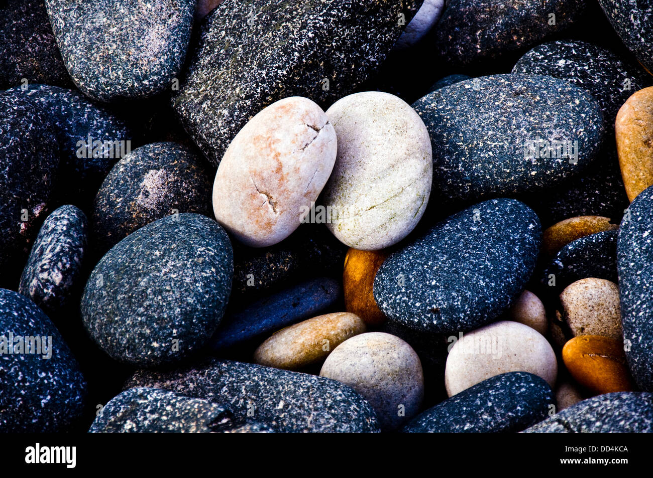 Stones on a beach Stock Photo - Alamy