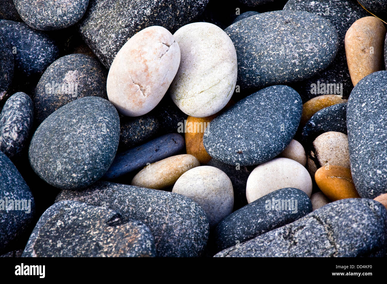 Stones on a beach Stock Photo - Alamy