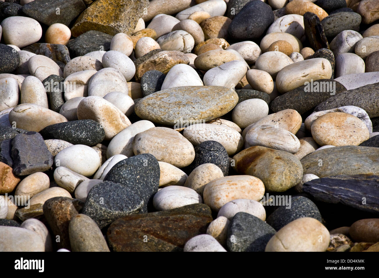 Stones on a beach Stock Photo - Alamy