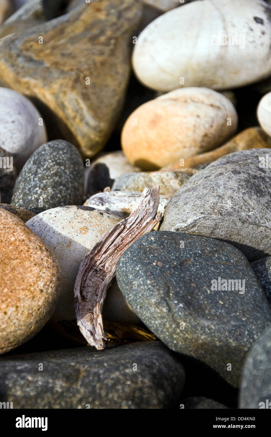 Stones and driftwood on a beach Stock Photo - Alamy