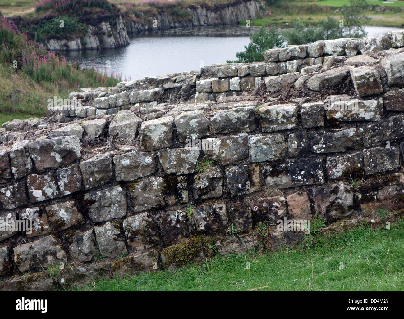 Close up of section of Hadrian's Wall near Hexham, Northumberland ...