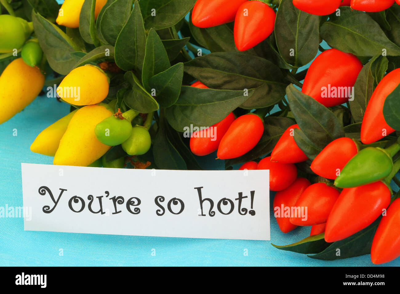 You're so hot card with red and yellow chili peppers Stock Photo - Alamy
