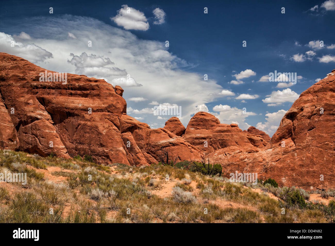Scenes from famous Arches National Park, Moab,Utah,USA Stock Photo - Alamy