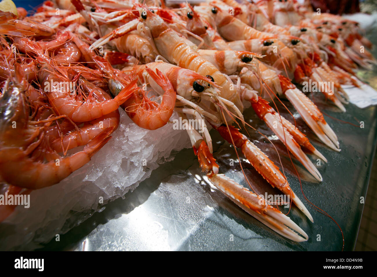 Frozen scampi hi-res stock photography and images - Alamy