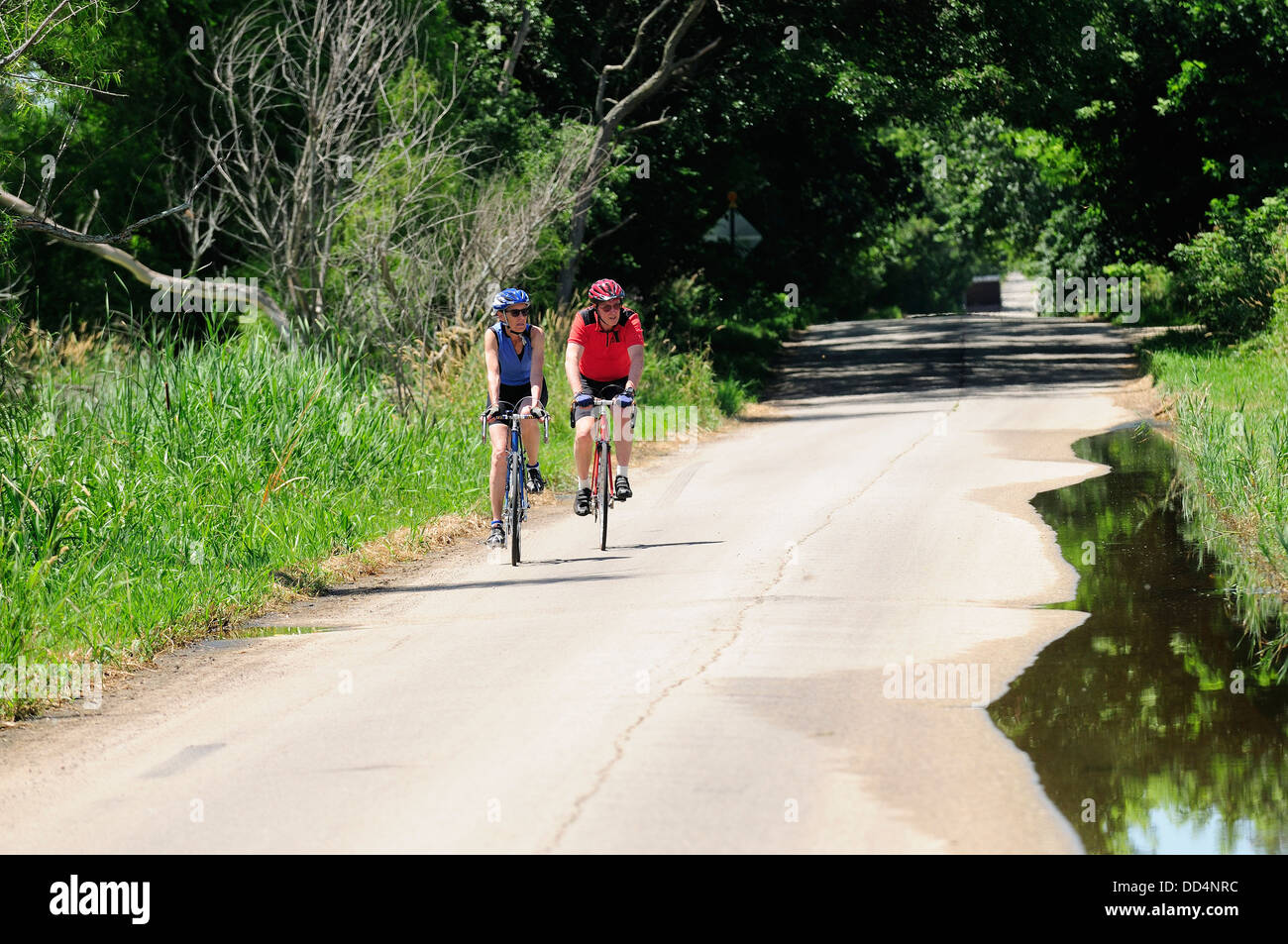 Bicyclist couple riding down rural road next to marsh Stock Photo - Alamy