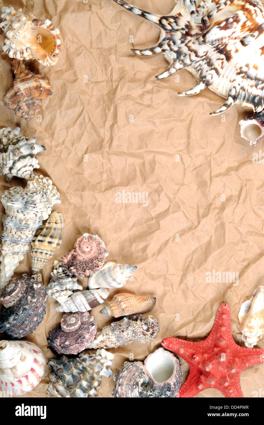 Sea shell frame Stock Photo - Alamy