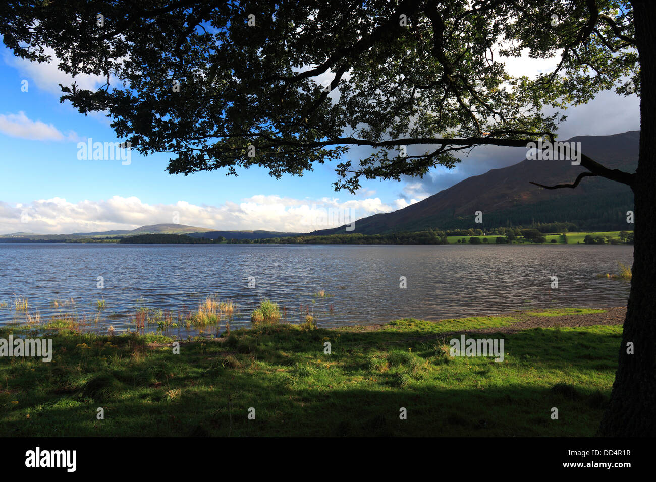 Bassenthwaite lake district hi-res stock photography and images - Alamy