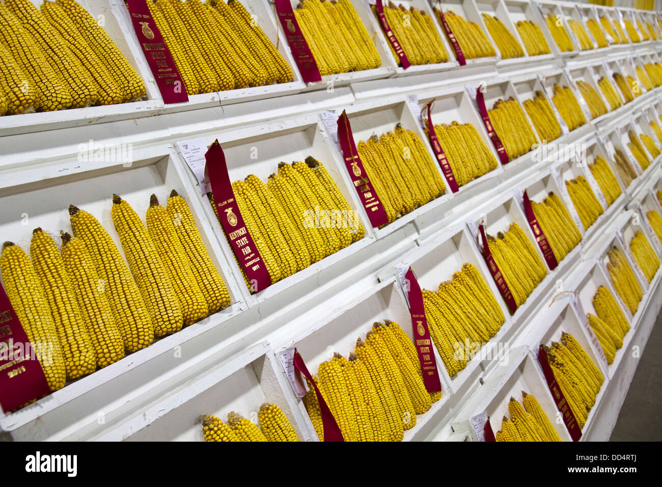 vegetable exhibition at the 2011 Kentucky state fair. Kentucky, USA ...