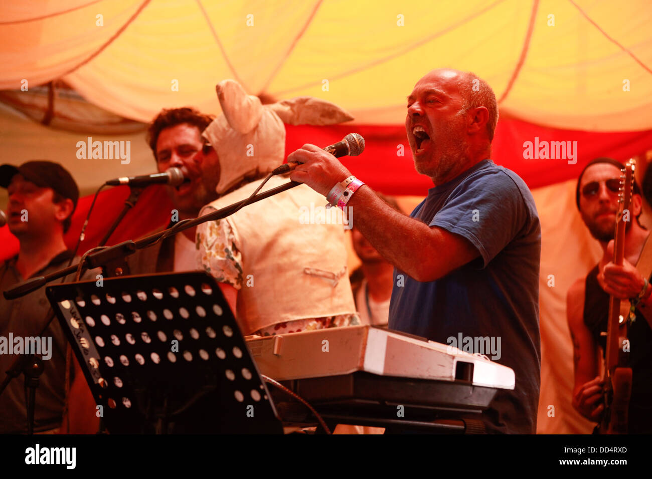 Rabbit hole glastonbury hi-res stock photography and images - Alamy