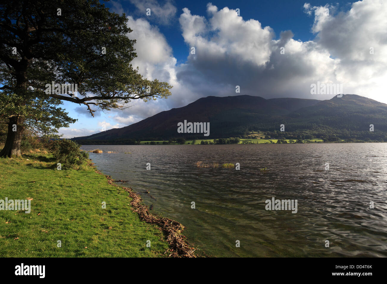 View over Bassenthwaite, Lake District National Park, Cumbria County ...