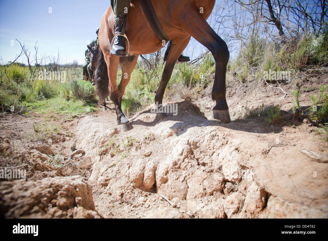 Anti Poaching Unit High Resolution Stock Photography and Images - Alamy
