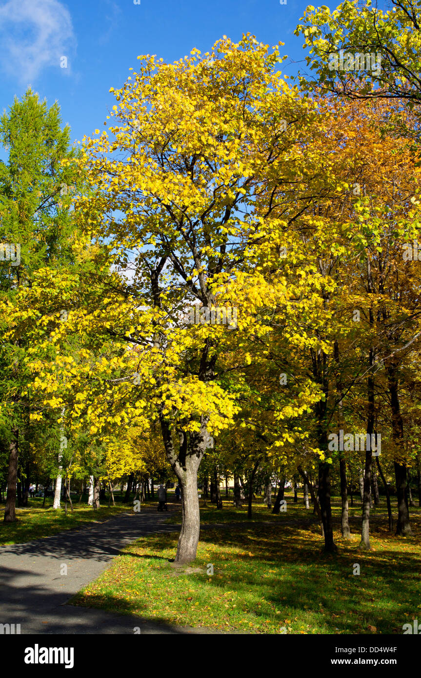Park in the fall Stock Photo - Alamy