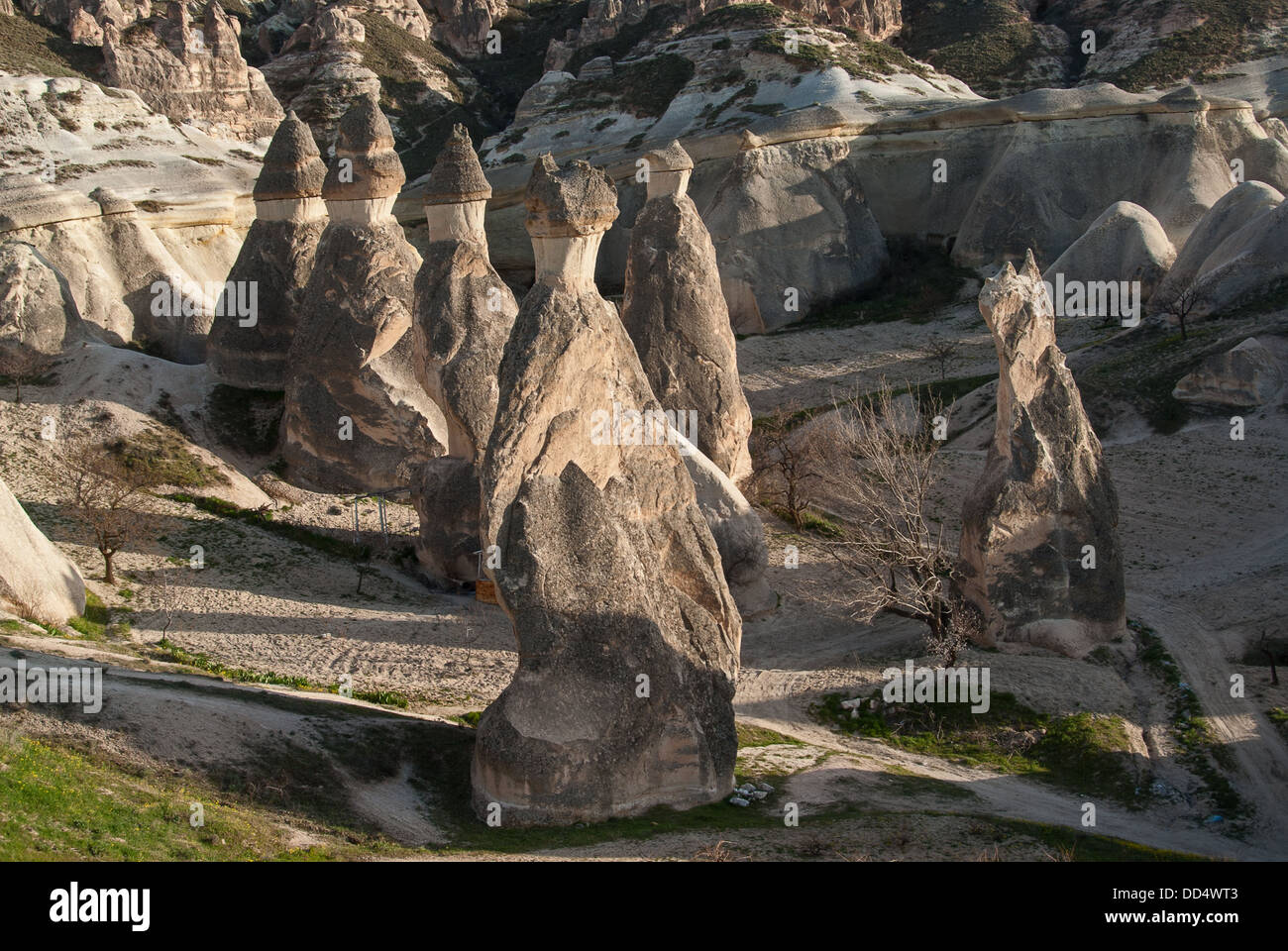 Typical landscape with hoodoos (or fairy chimneys) in Cappadocia ...