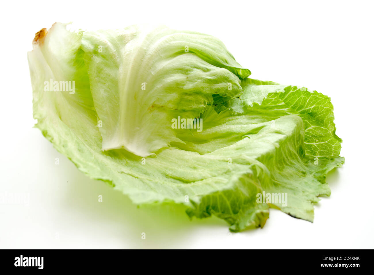 Fresh iceberg lettuce Stock Photo - Alamy