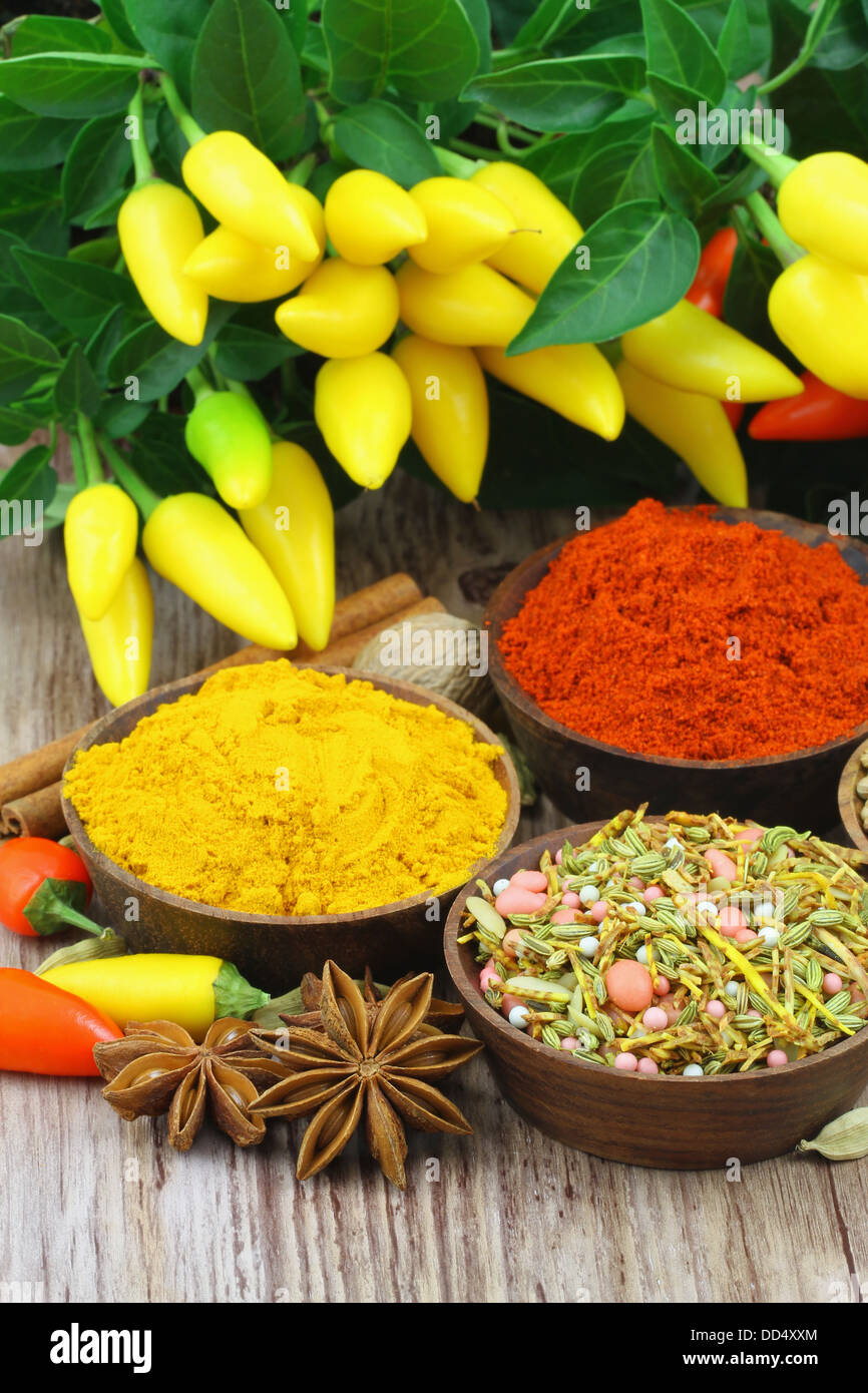 Selection of Indian spices, close up Stock Photo - Alamy