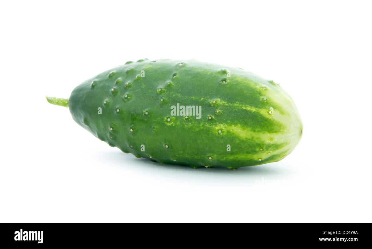 green organic cucumber isolated on white background Stock Photo - Alamy