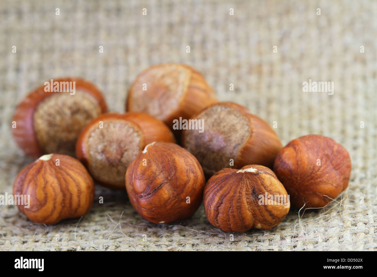 Hazelnut without shell on jute surface, close up Stock Photo - Alamy