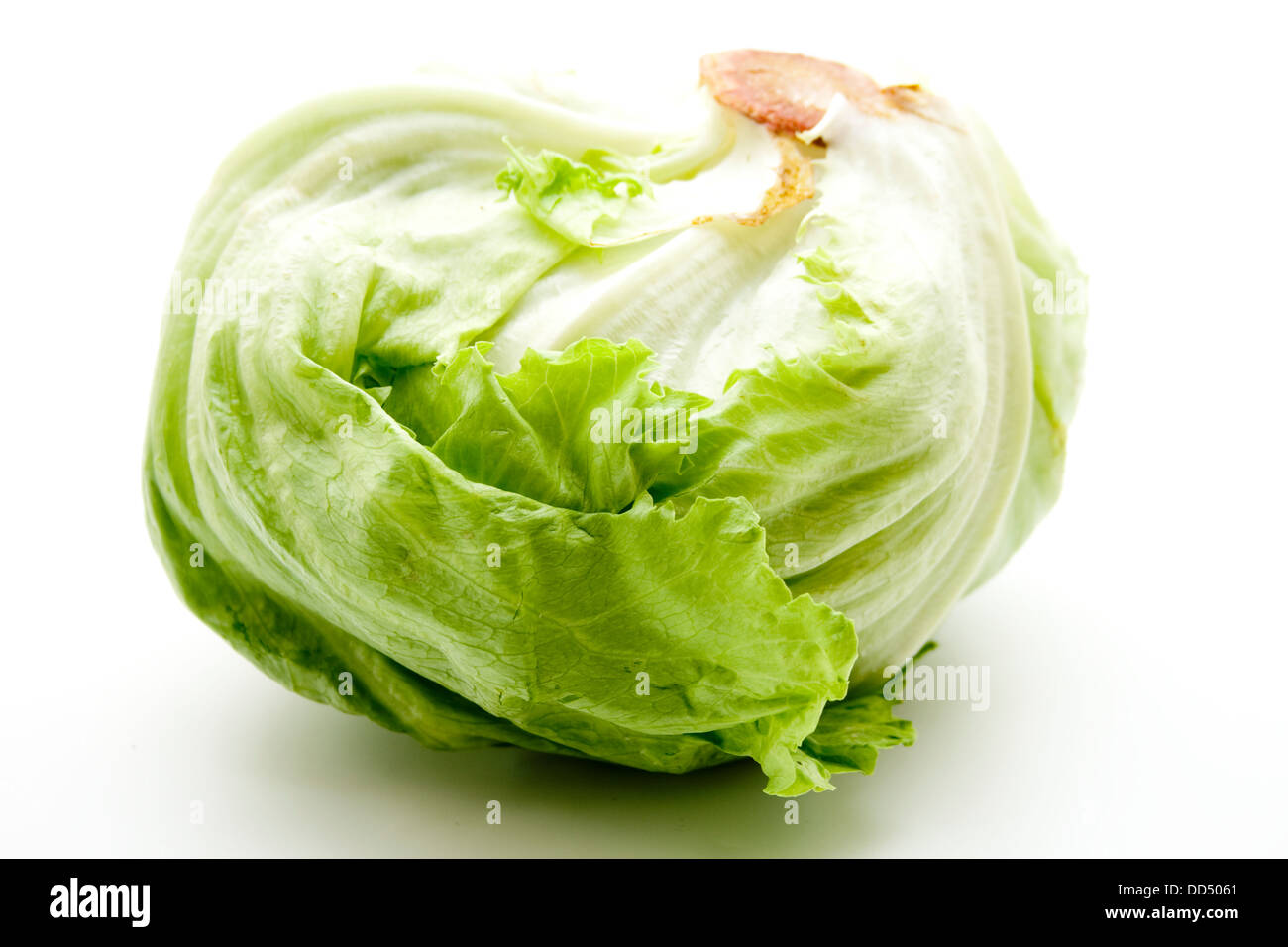 Green iceberg lettuce Stock Photo - Alamy
