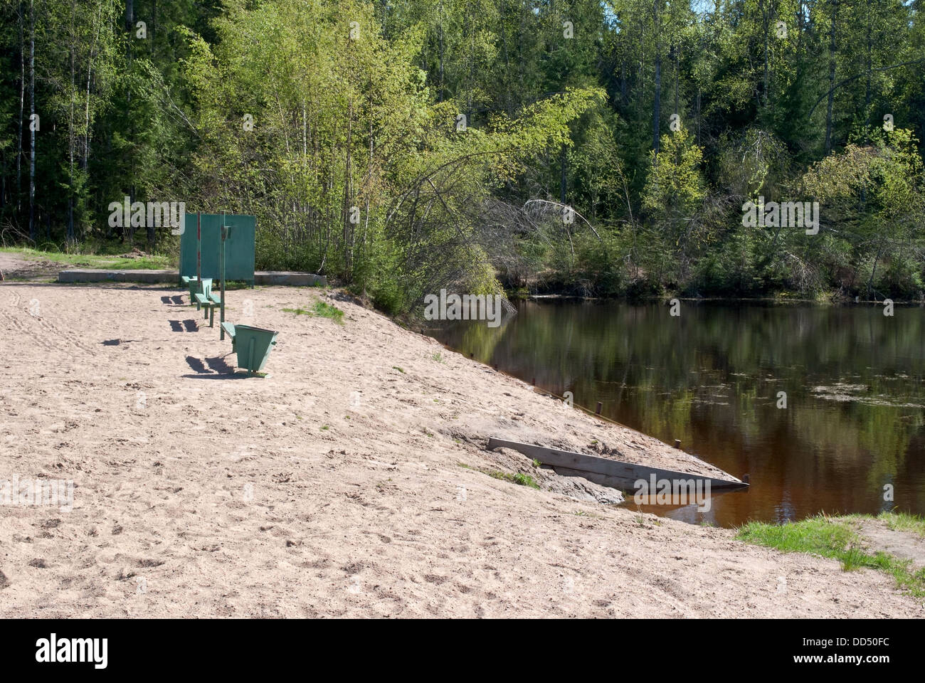 Wild beach on the shore of a small forest lake Stock Photo - Alamy