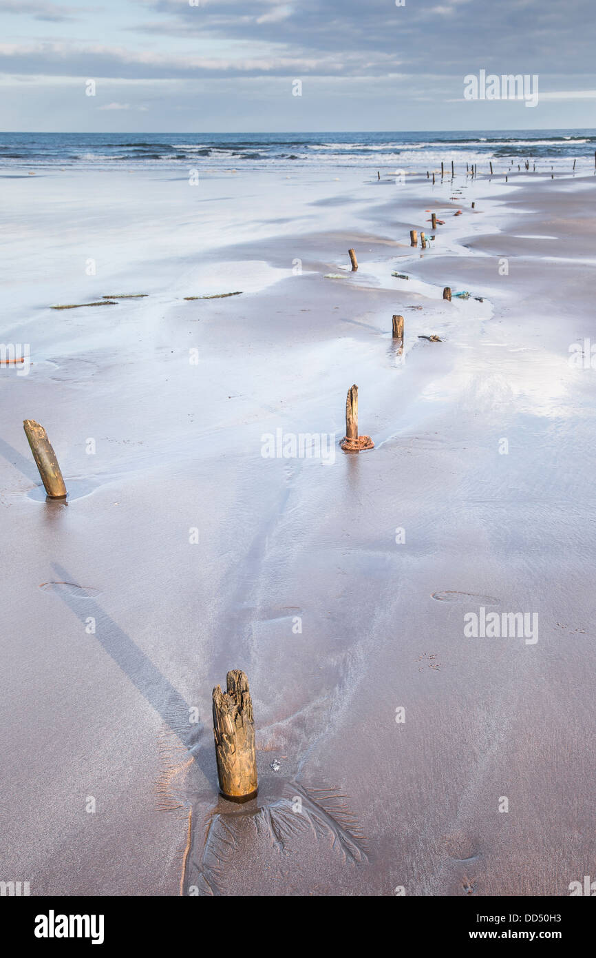 St cyrus scotland hi-res stock photography and images - Alamy